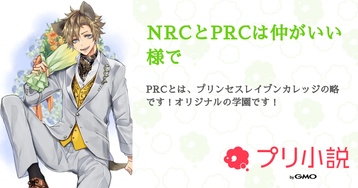 NRCとPRCは仲がいい様で - 全6話 【連載中】（𝗡𝗮𝘁𝘀𝘂𝗸𝗶 ．🫖さんの小説） | 無料スマホ夢小説ならプリ小説 byGMO
